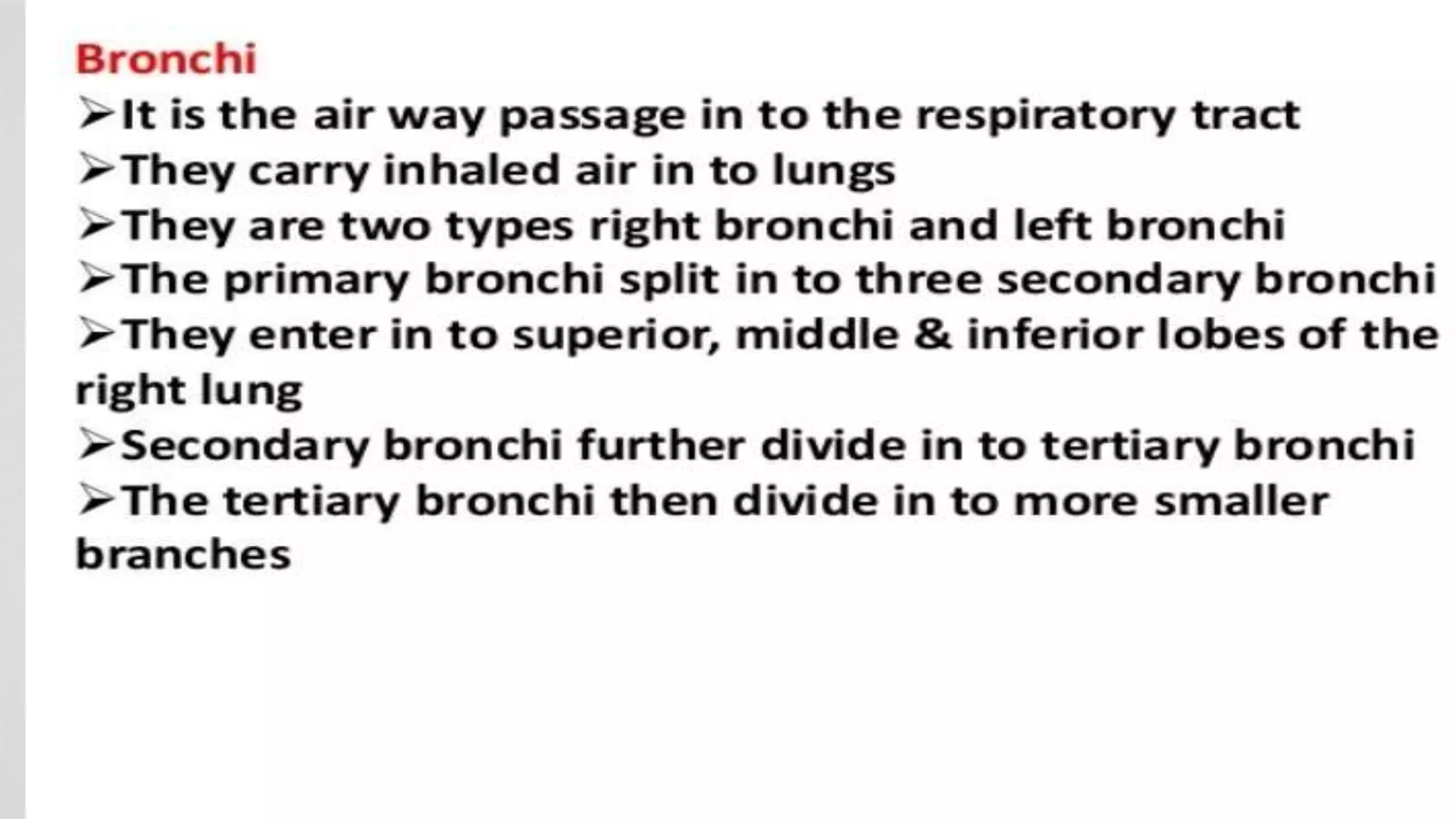 THE RESPIRATORY SYSTEM Anatomy and physiology slideshare | PPTX