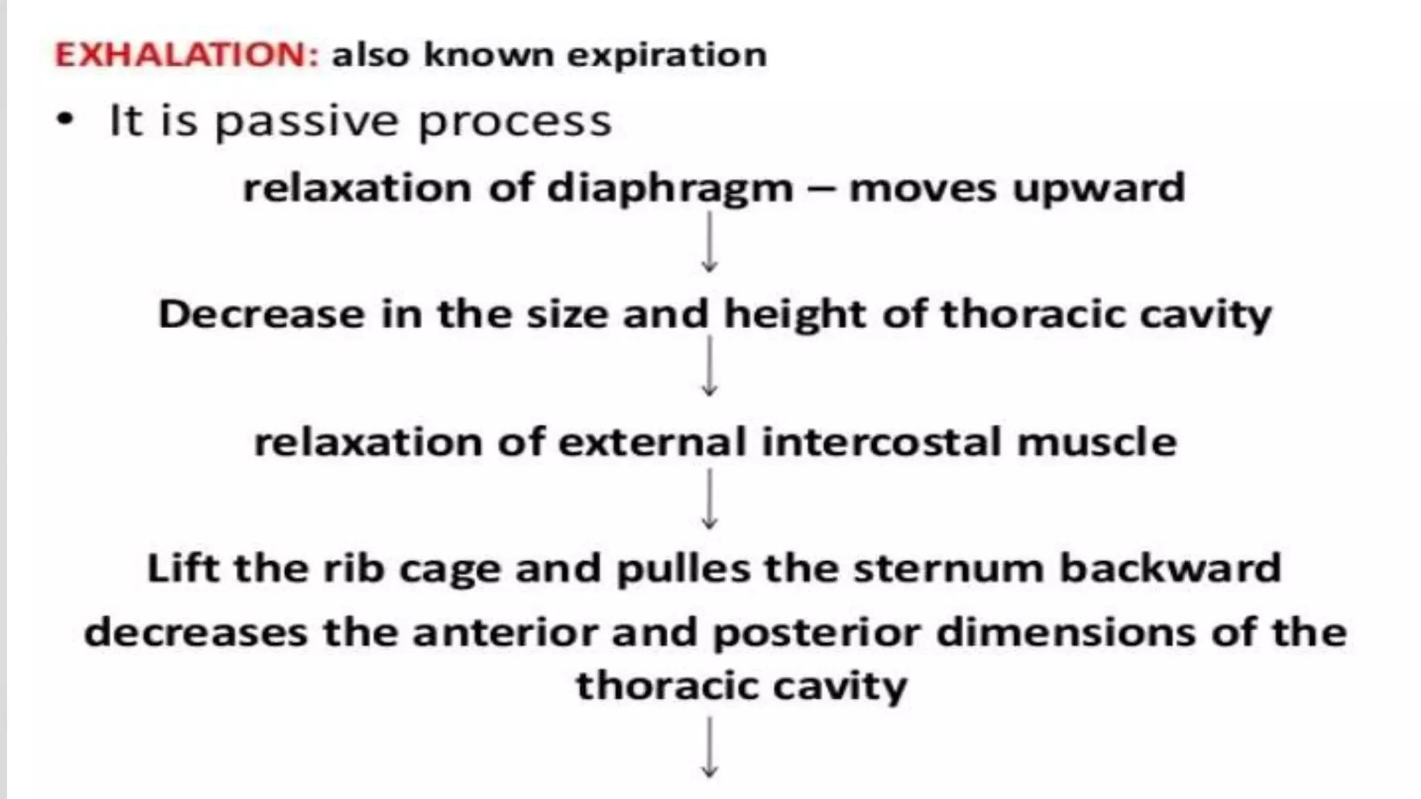 THE RESPIRATORY SYSTEM Anatomy and physiology slideshare | PPTX