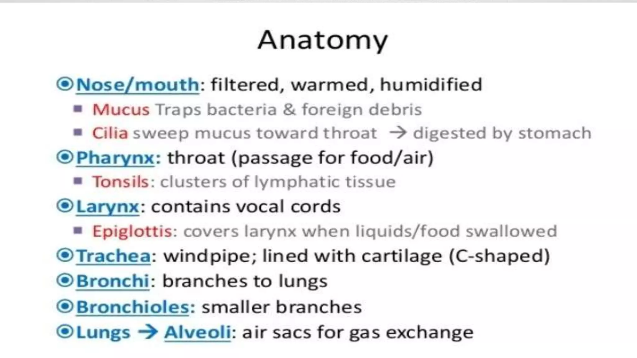 THE RESPIRATORY SYSTEM Anatomy and physiology slideshare | PPTX