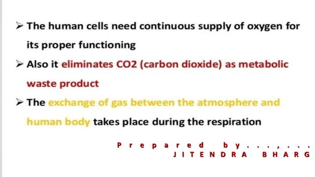 THE RESPIRATORY SYSTEM Anatomy and physiology slideshare | PPTX | Lung ...