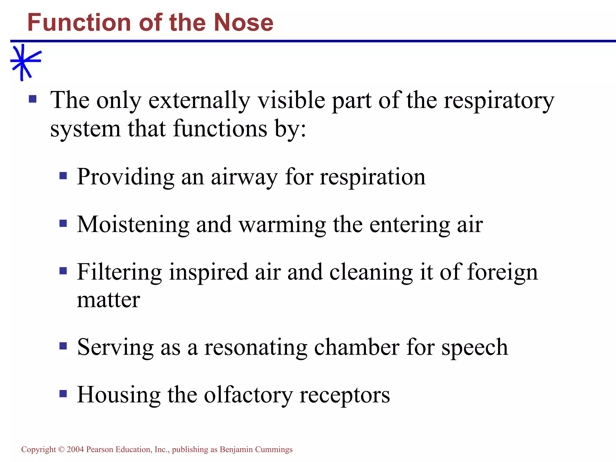 R espiratory sys part 1 marieb | PPT