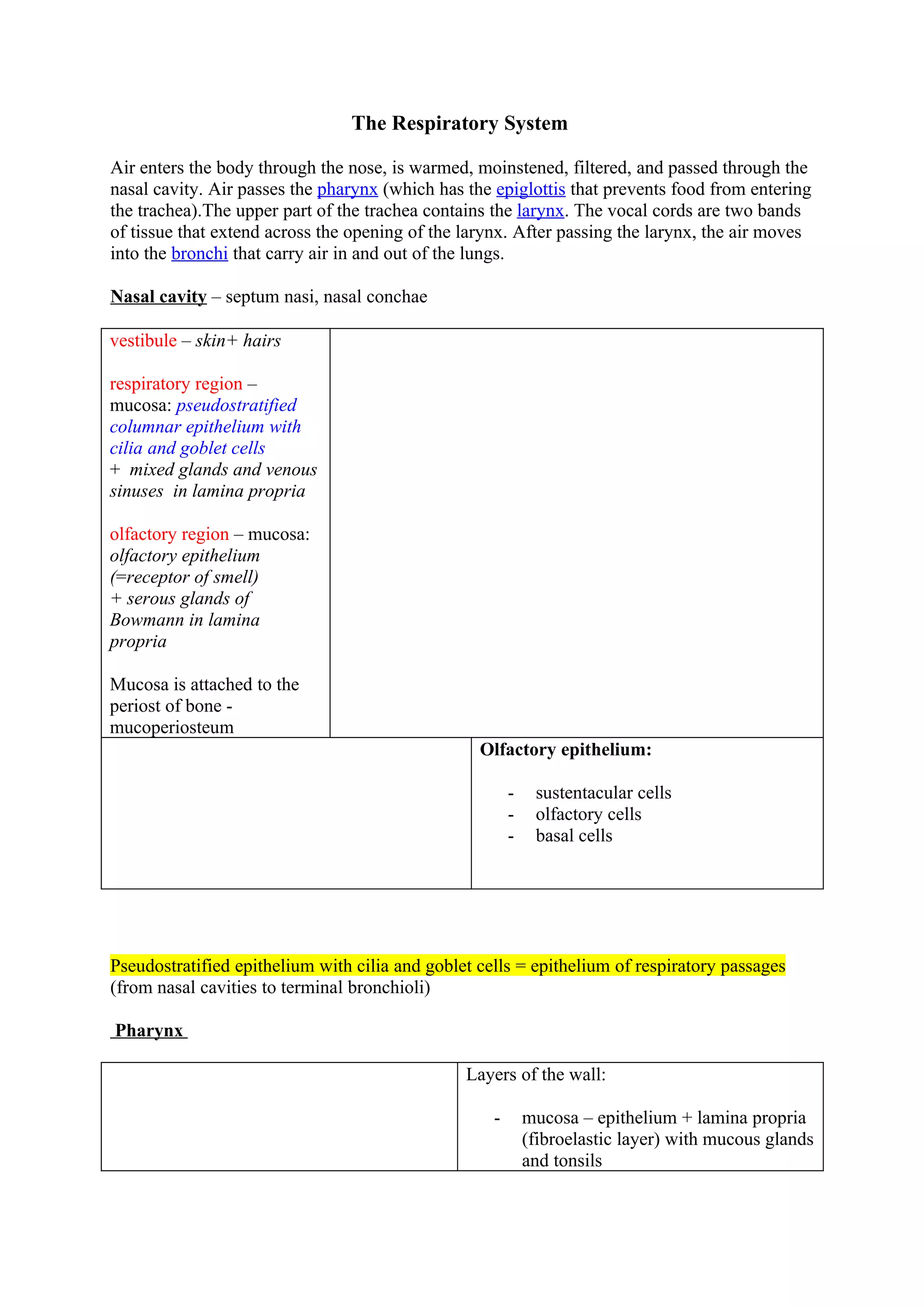 Respiratory syst copy | DOC