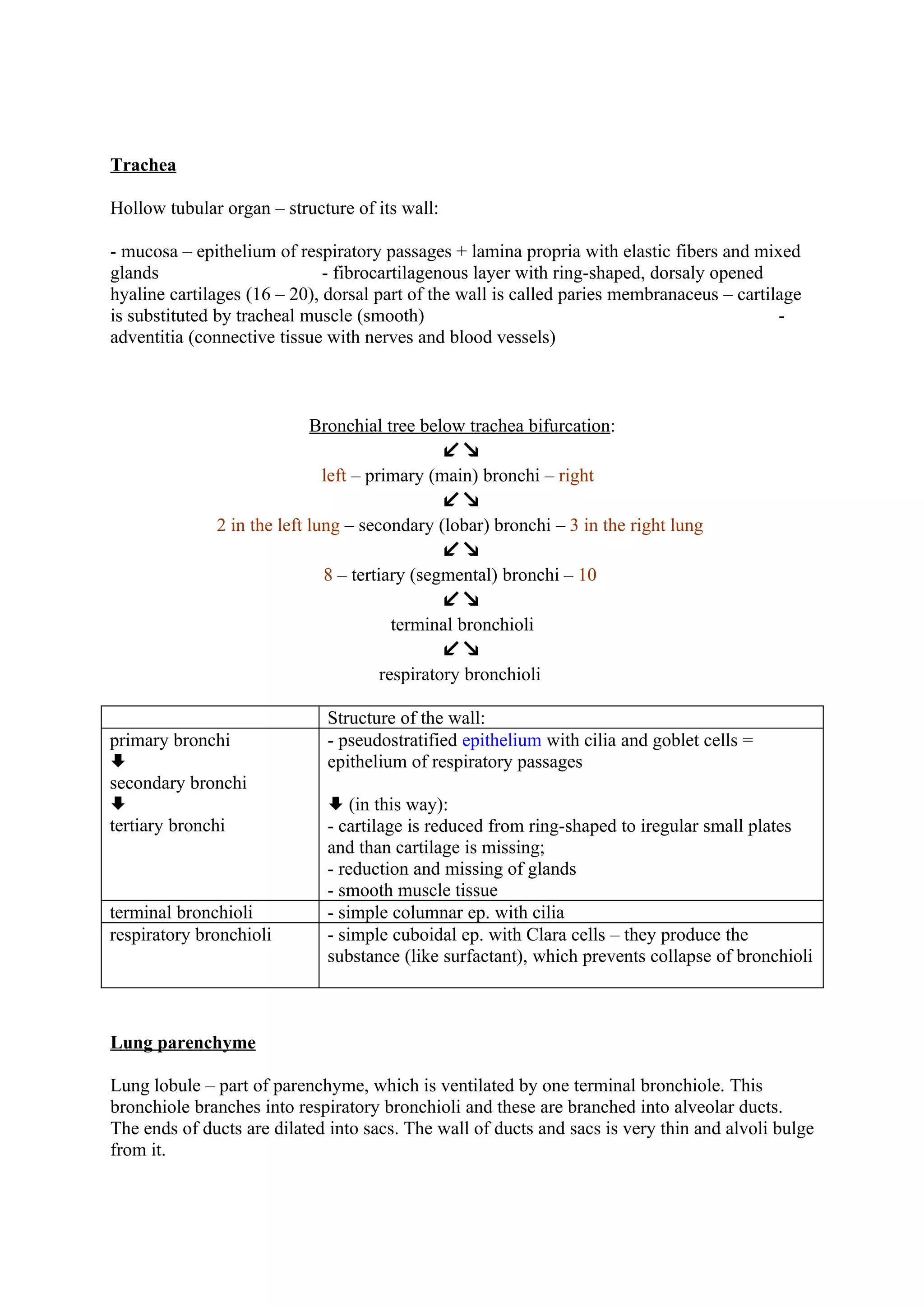 Respiratory syst copy | DOC