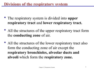 respiratory system document for student nurses | PPT