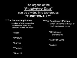 Respiratory System Anatomy & Physiology | PPT