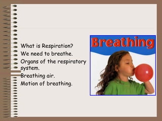 Respiratory system | PPT