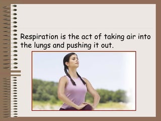 Respiratory system | PPT