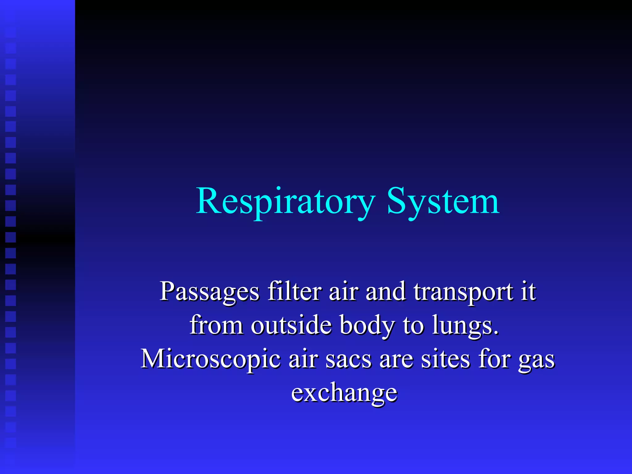 Respiratory system | PPT