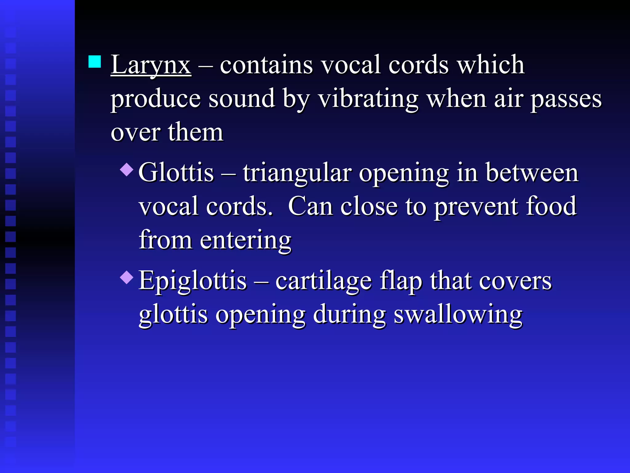 Respiratory system | PPT