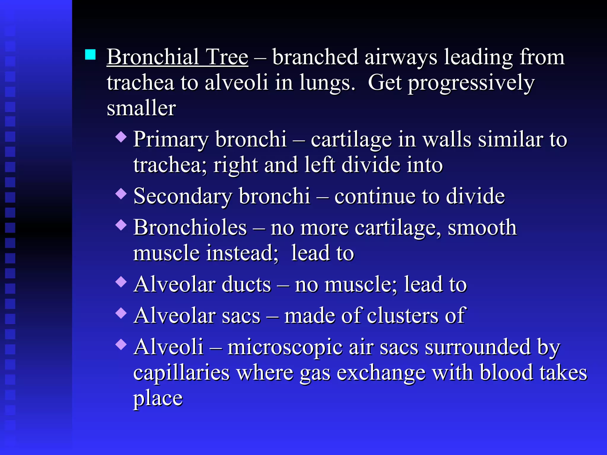 Respiratory system | PPT