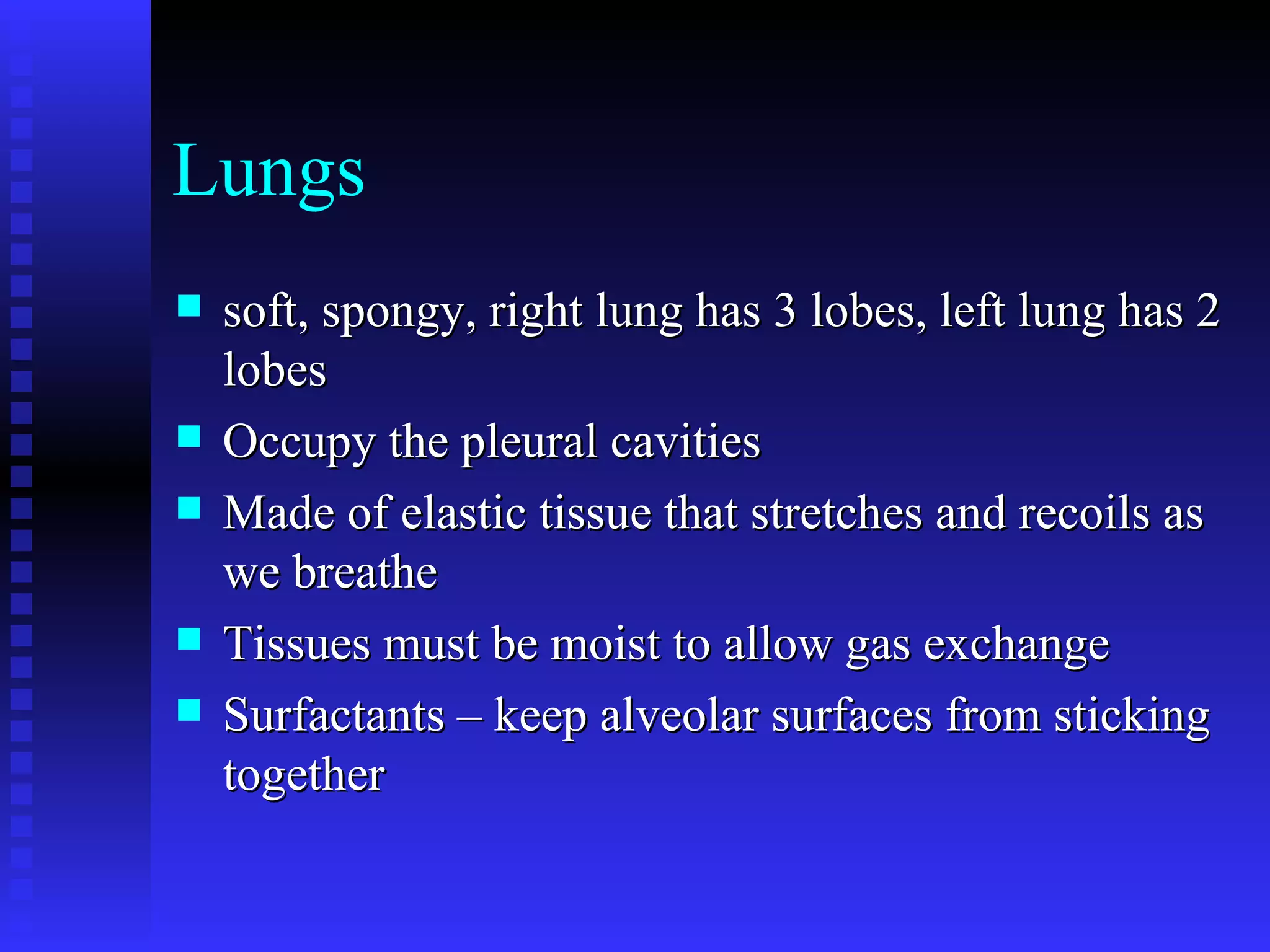 Respiratory system | PPT