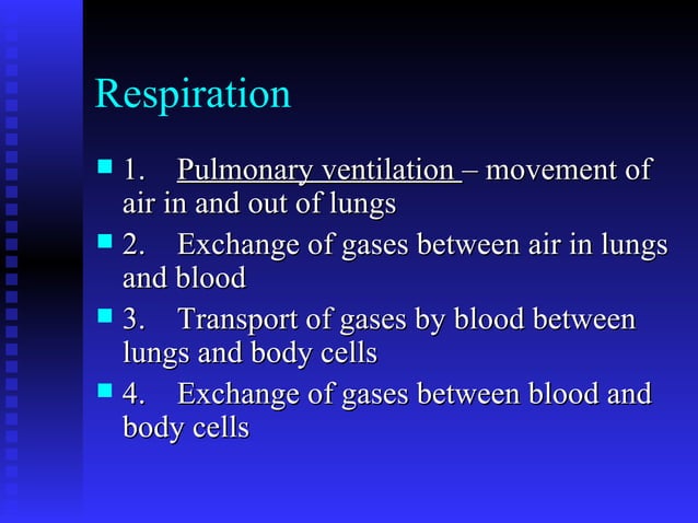Respiratory system | PPT