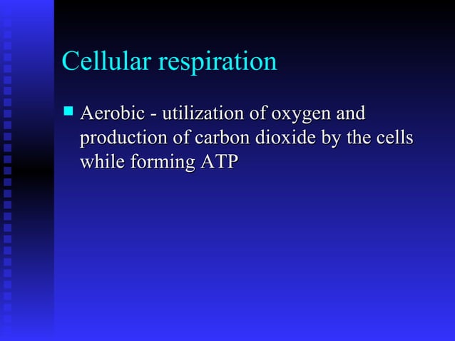 Respiratory system | PPT