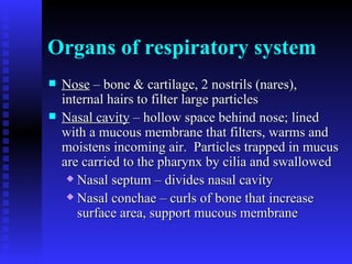 Respiratory system | PPT