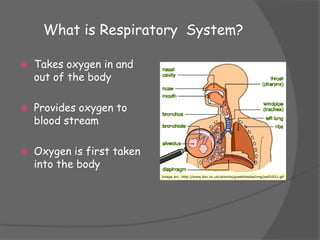 Respiratory system | PPTX