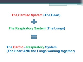 Respiratory System | PPTX