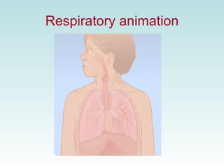 15 Respiratory System | PPT