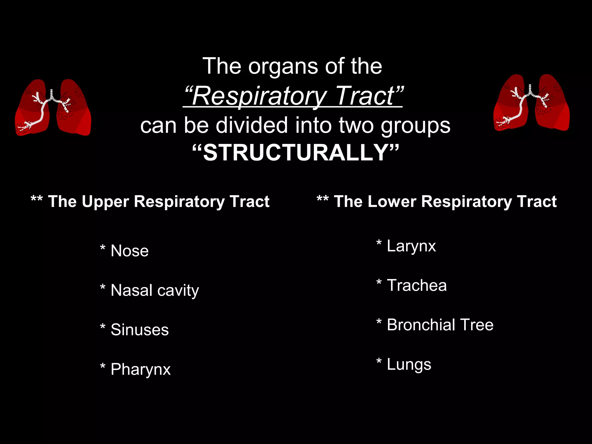 Respiratorysystem 120105050542-phpapp01 | PPT