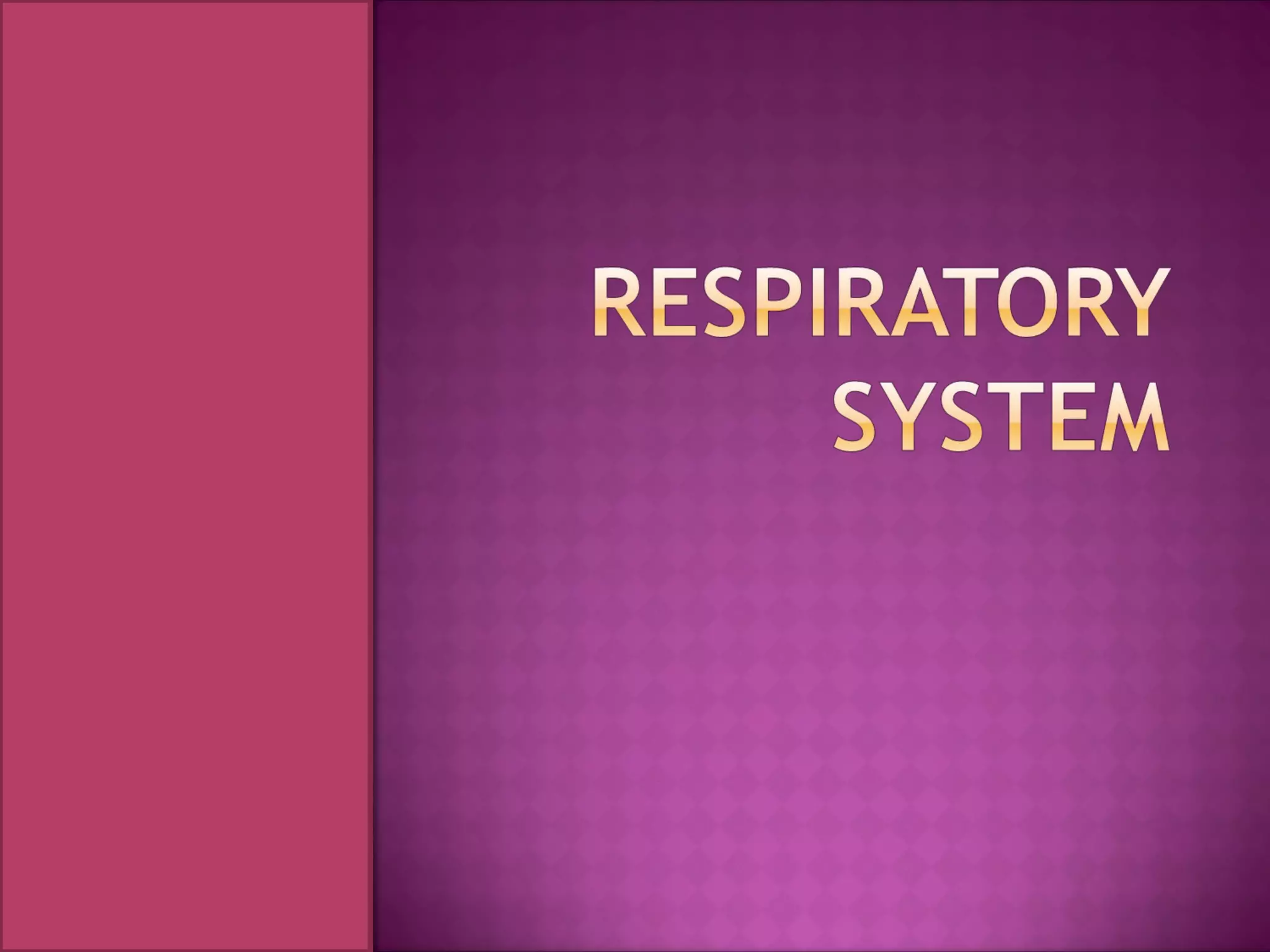 Respiratory system | PPT