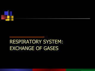Respiratory system | PPT