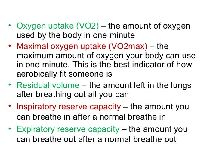 Respiratory system
