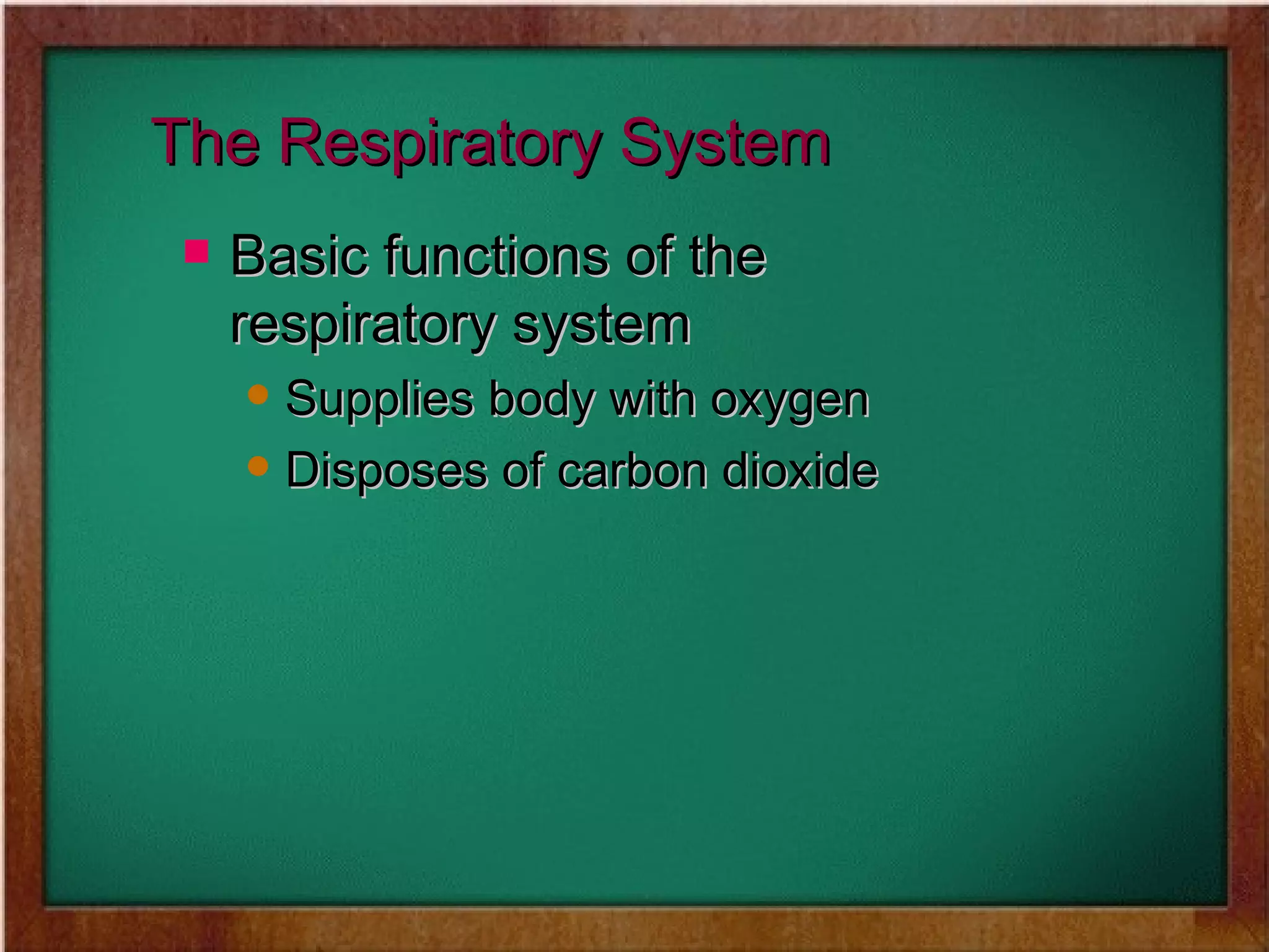 Respiratory system | PPT