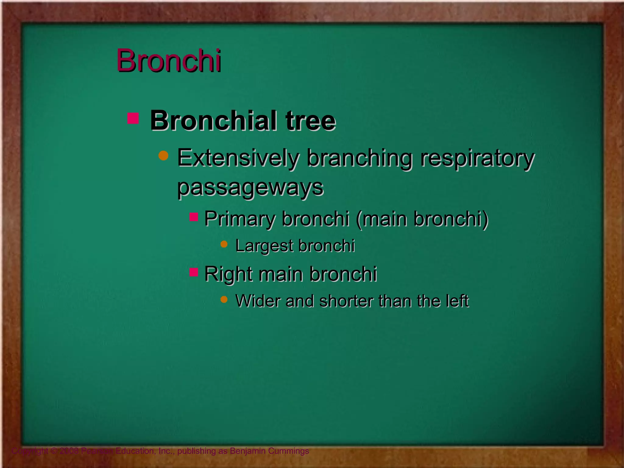 Respiratory system | PPT