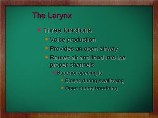 Respiratory system | PPT