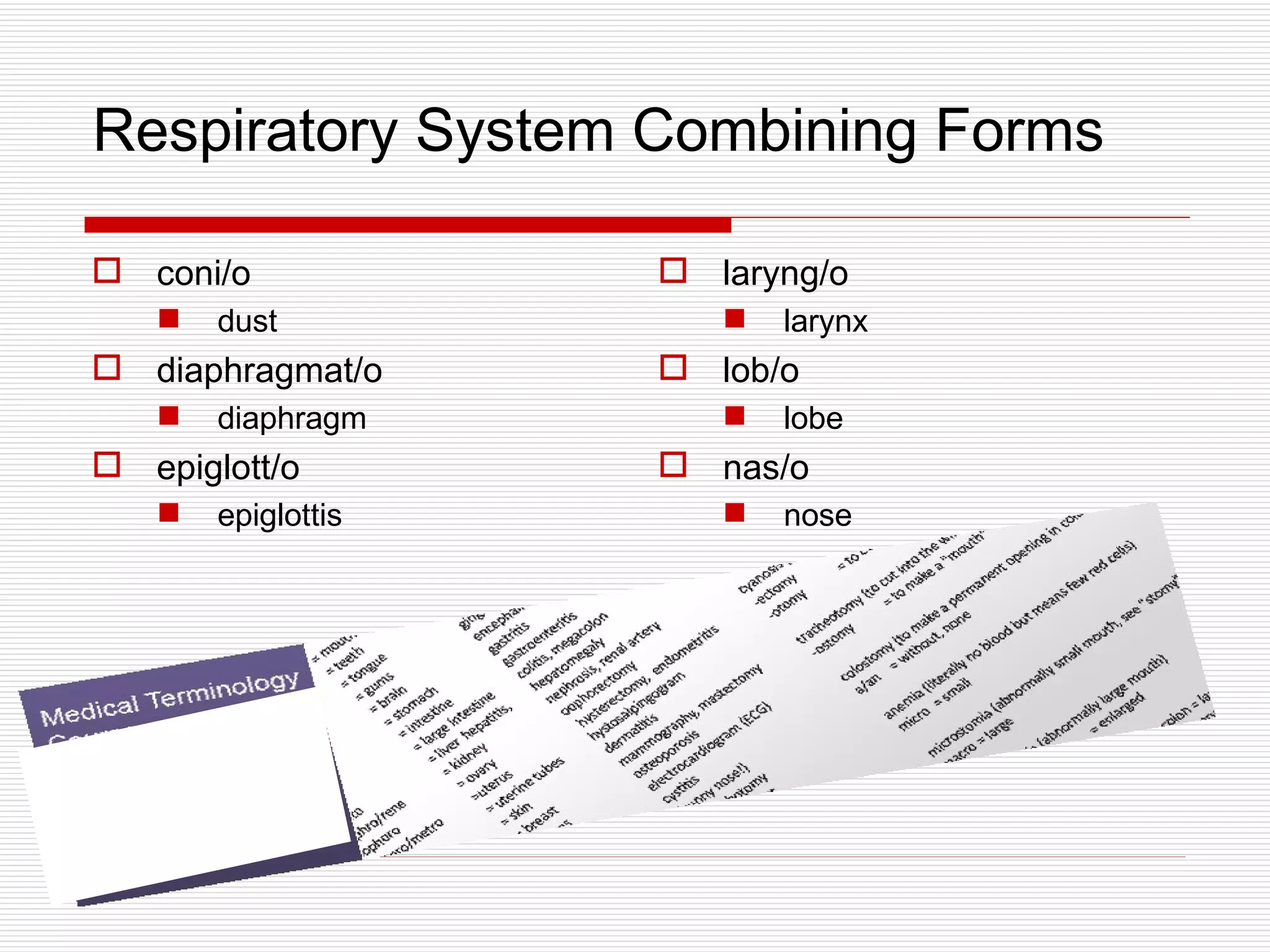 Respiratory System | PPT