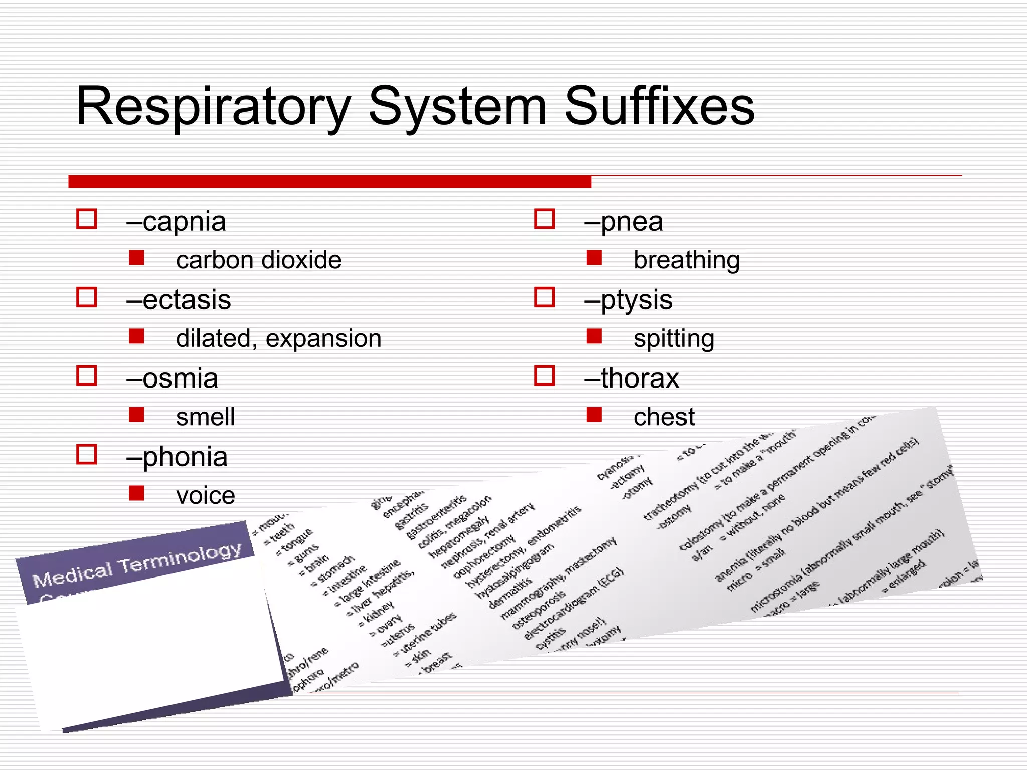 Respiratory System | PPT