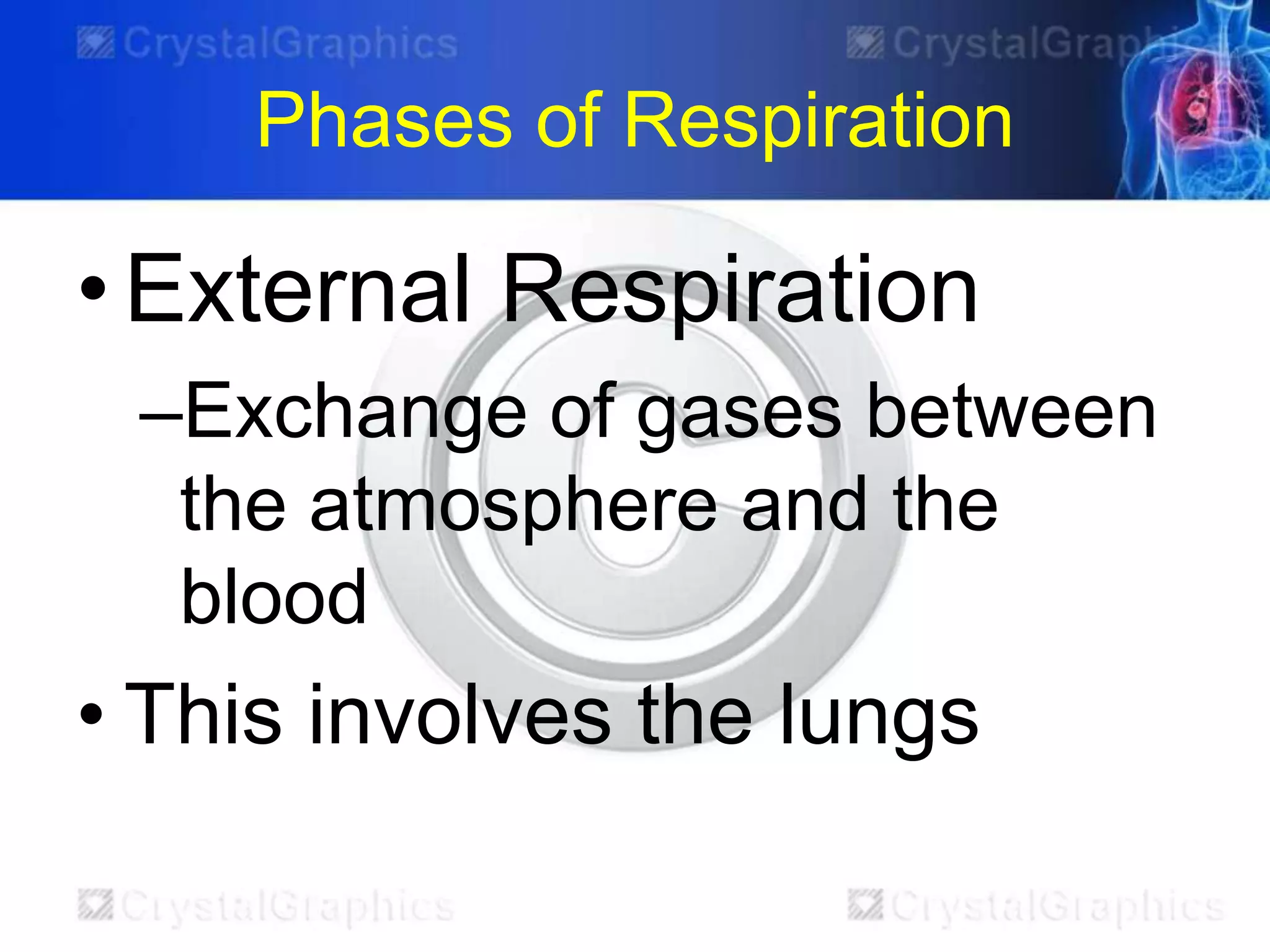 Respiratory system | PPTX