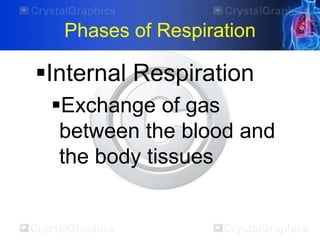 Respiratory system | PPTX | Lung and Respiratory Health | Diseases and ...