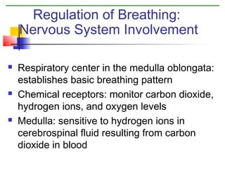 Respiratory system | PPT | Lung and Respiratory Health | Diseases and ...