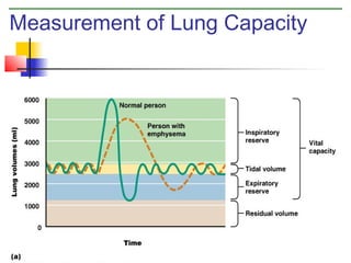 Respiratory system | PPT | Lung and Respiratory Health | Diseases and ...