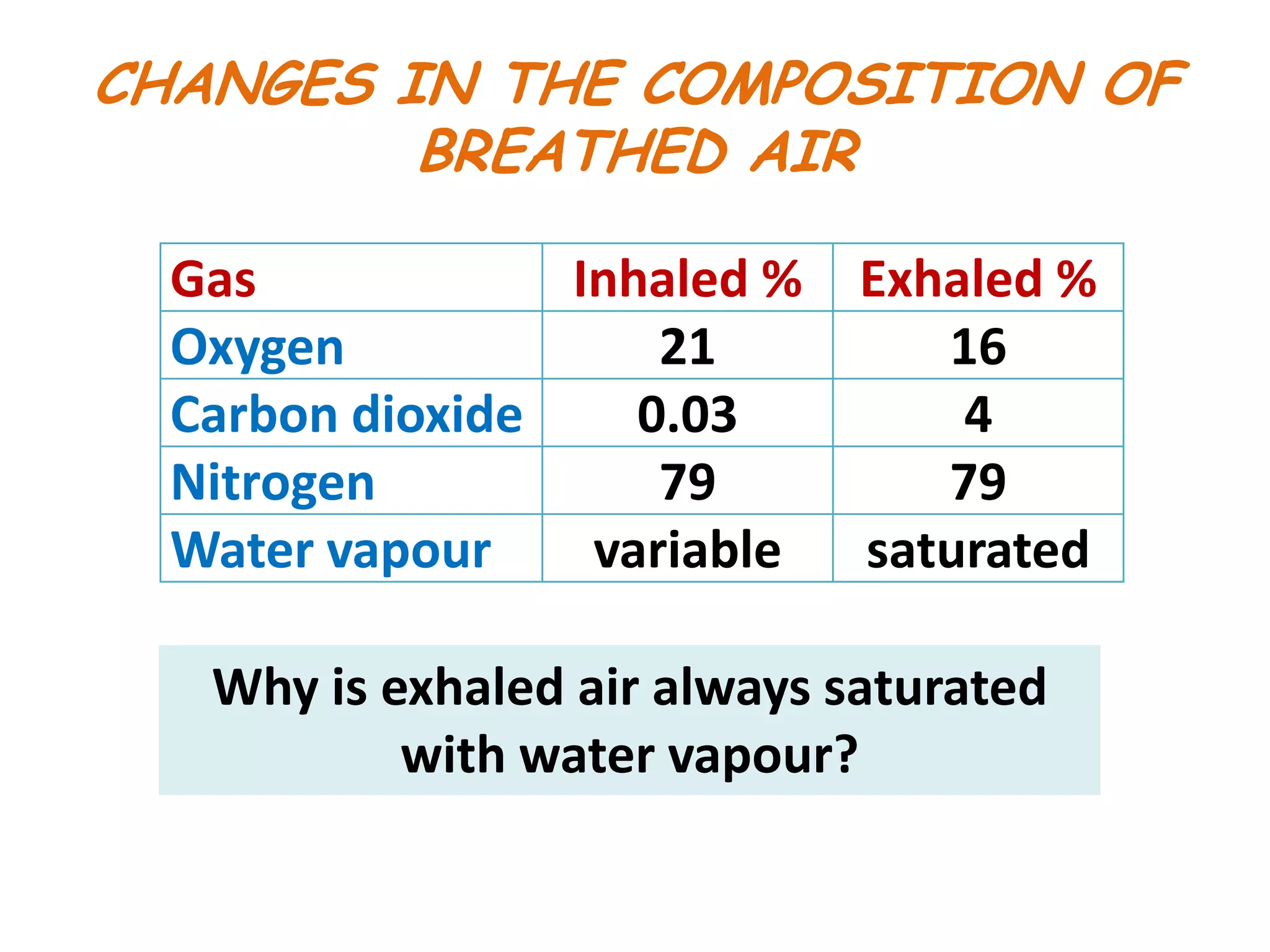 Respiratory system | PPTX