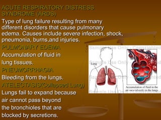 Respiratory system | PPT