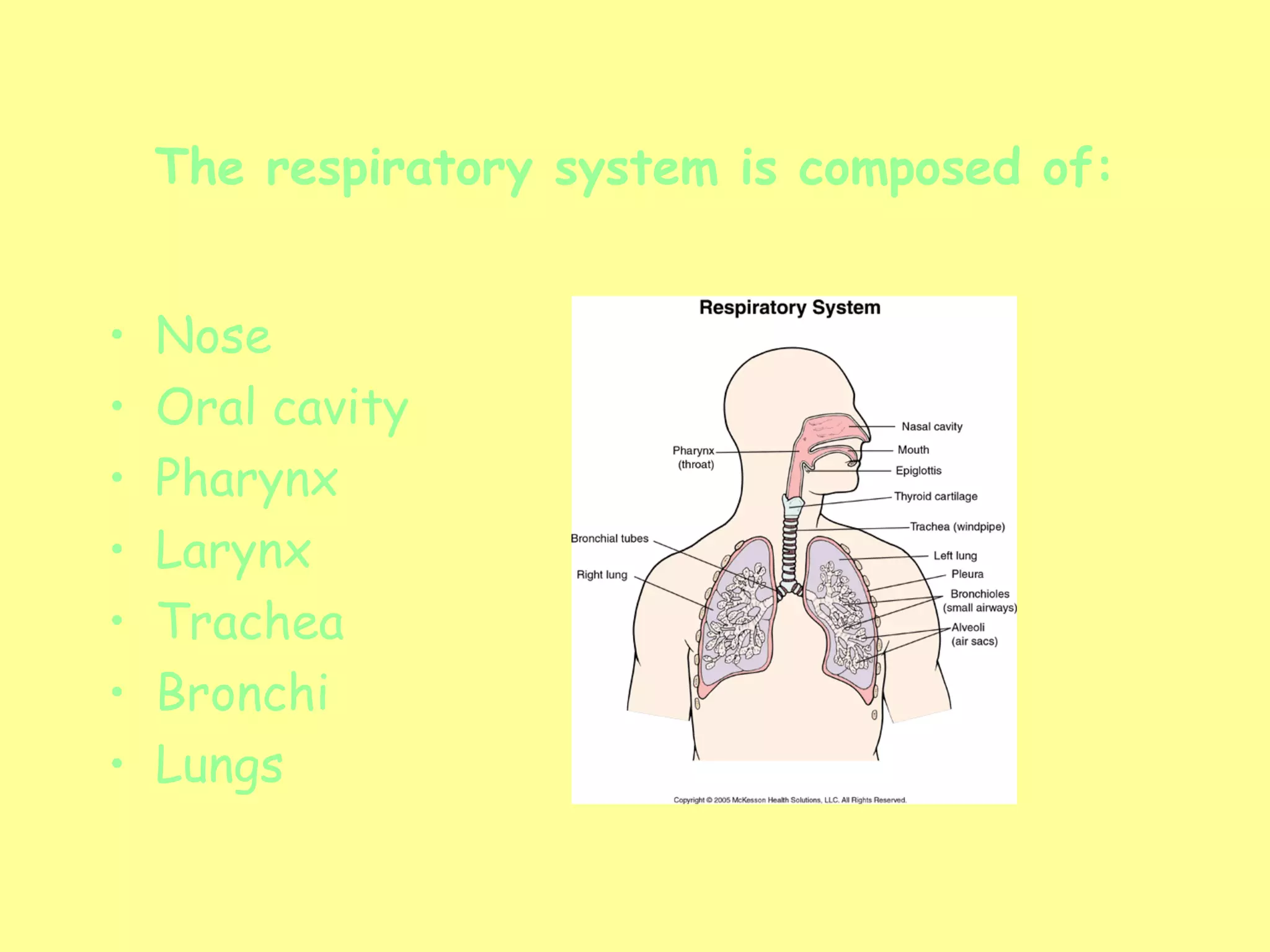 Respiratory system | PPT