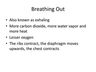 Respiratory system | PPT
