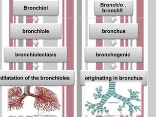 Respiratory system | PPT