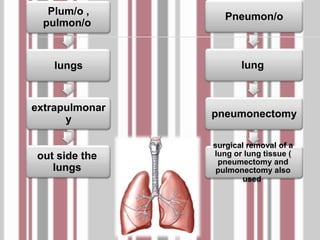 Respiratory system | PPTX | Lung and Respiratory Health | Diseases and ...