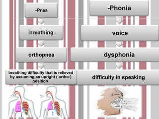 Respiratory system | PPTX | Lung and Respiratory Health | Diseases and ...