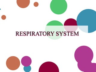 Respiratory system | PPT