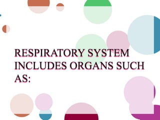 Respiratory system | PPT