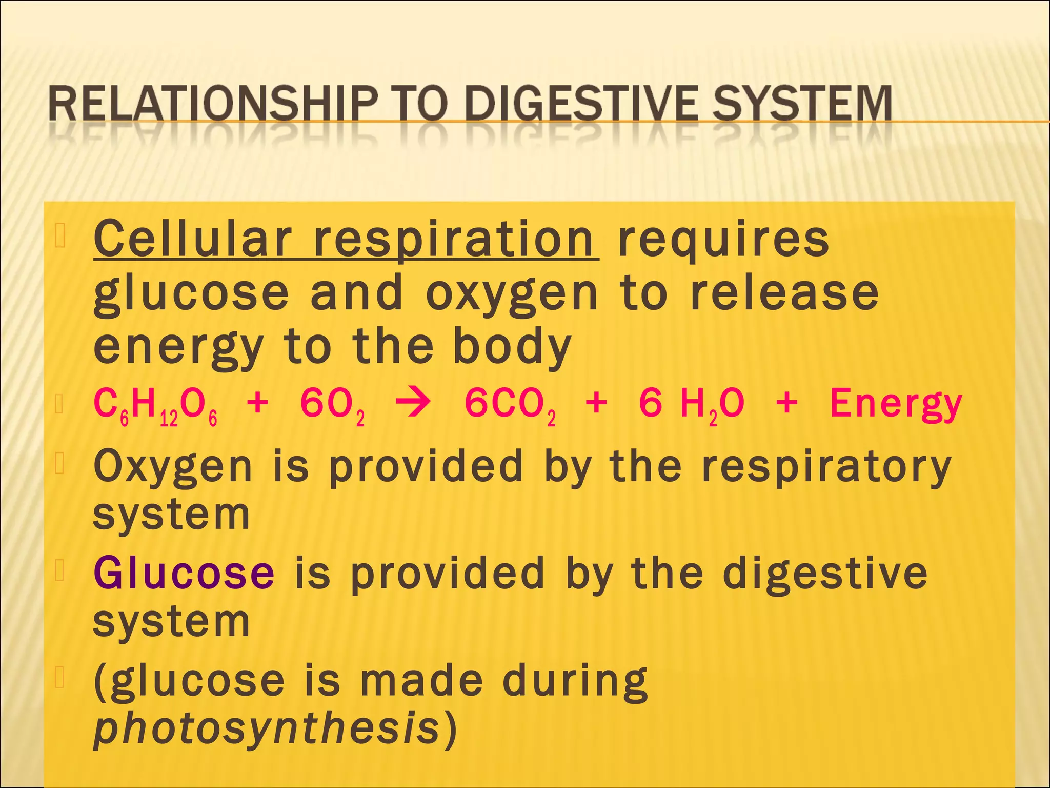 Grade 8 - Respiratory System | PPT