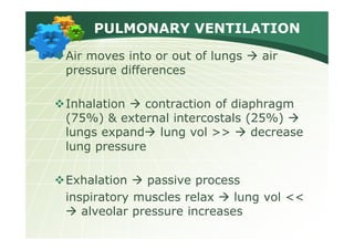 Respiratory system | PPT