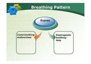 Respiratory system | PPT