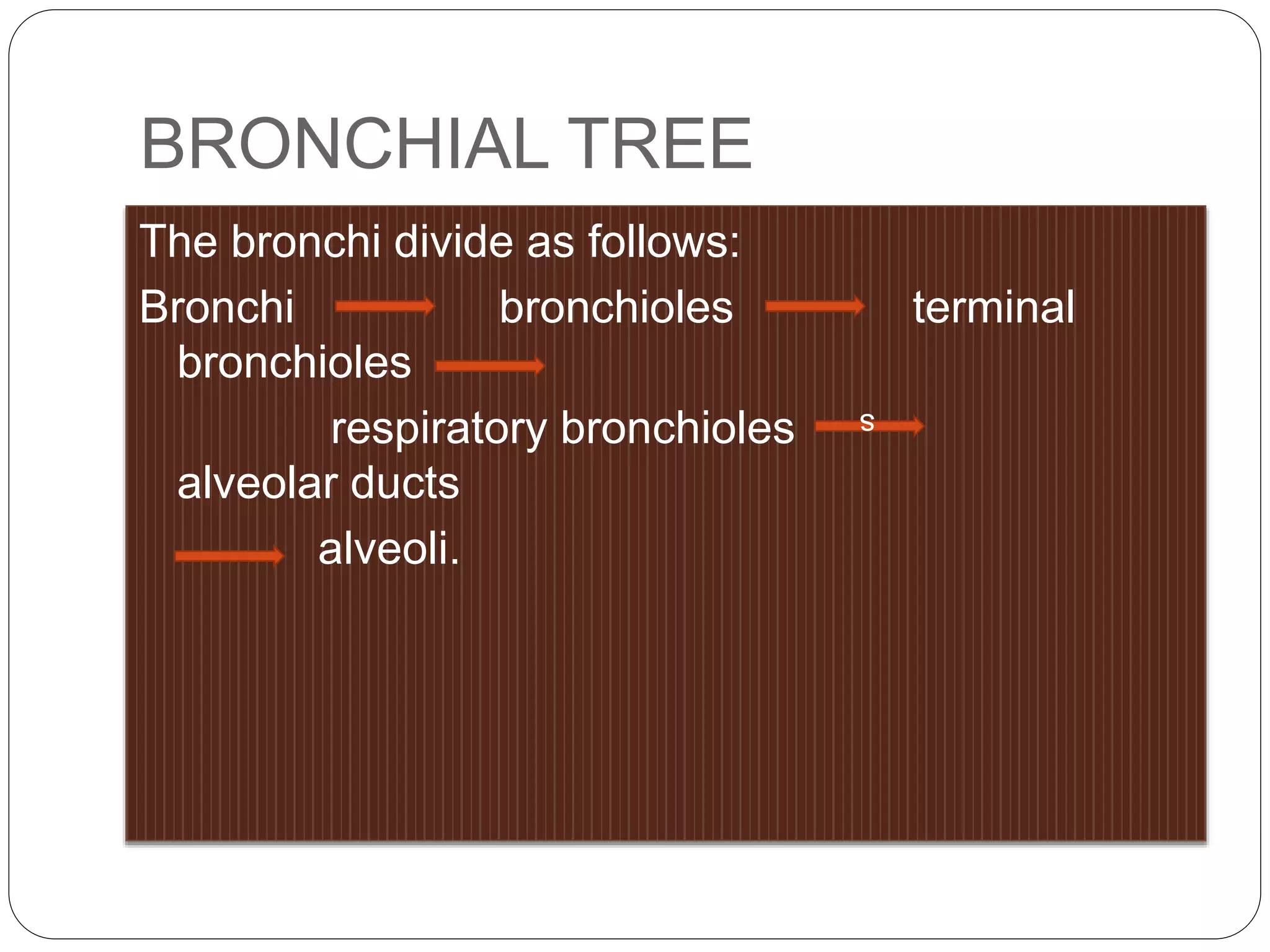 Respiratory system | PPTX