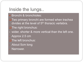 Respiratory system | PPTX