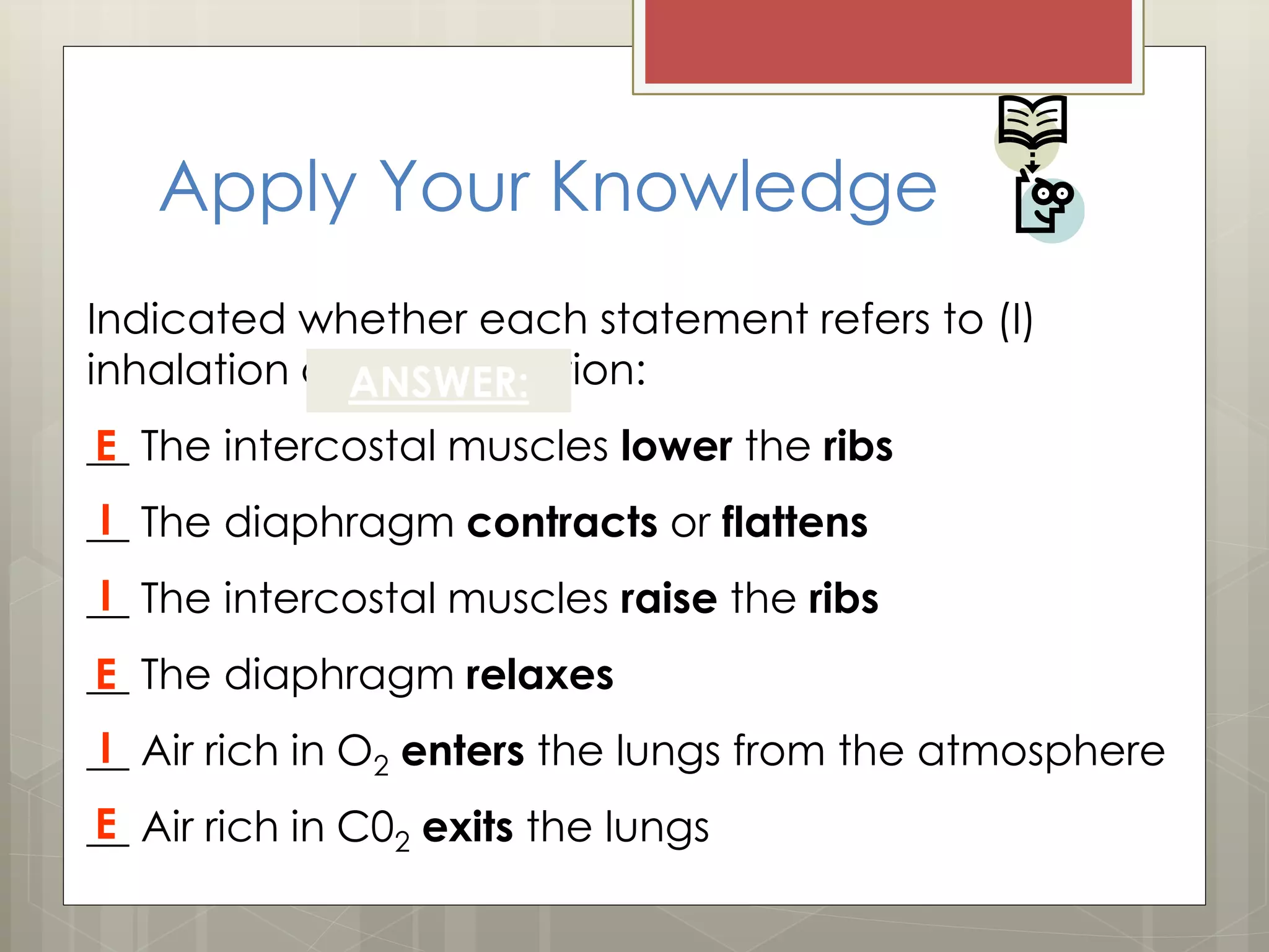 Grade 9 - Respiratory system | PPTX