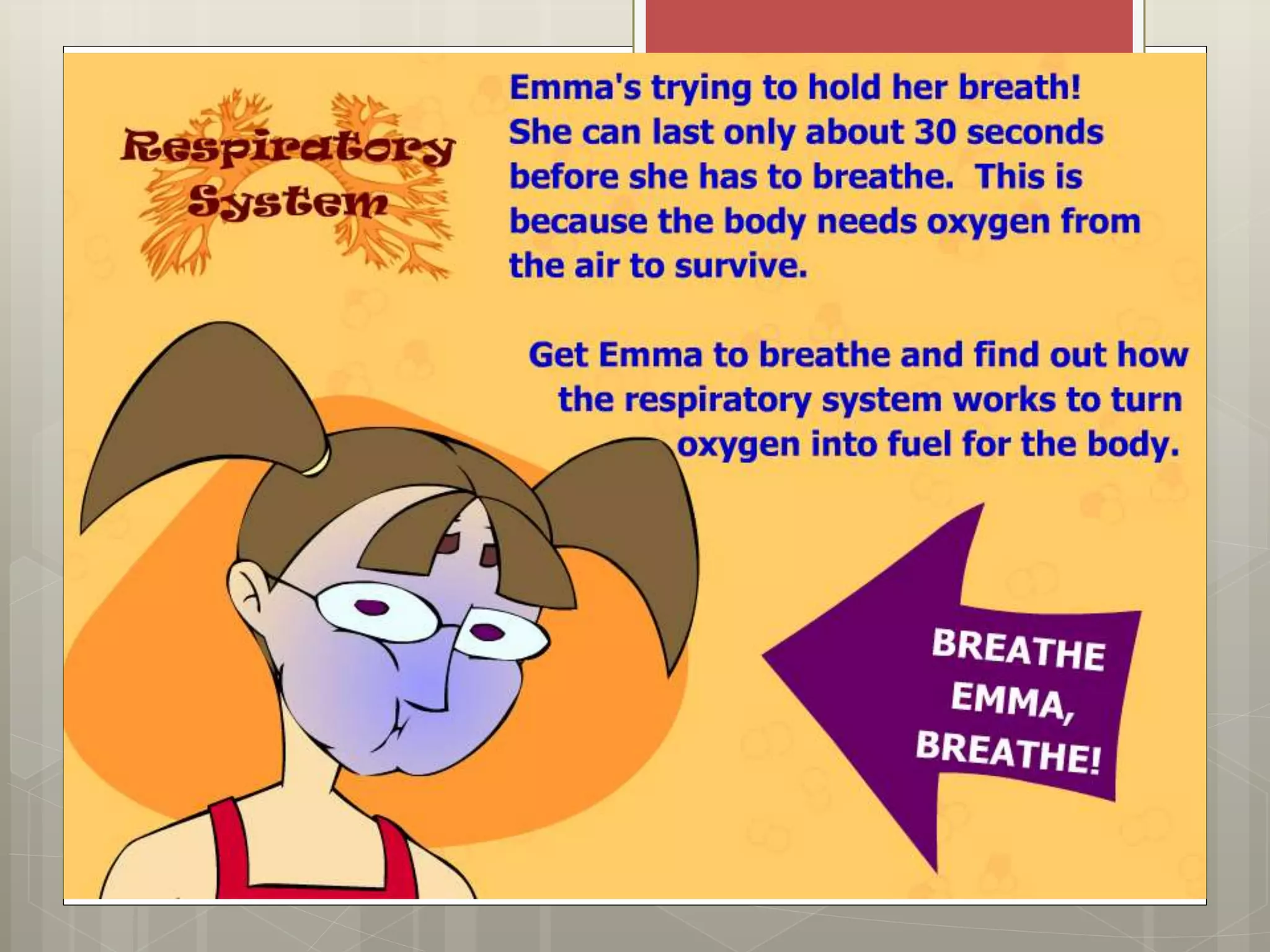 Grade 9 - Respiratory system | PPTX